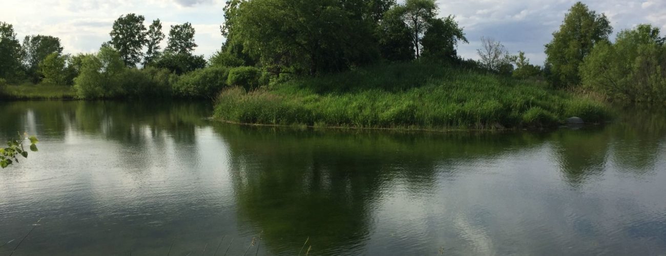 Stonehouse Water Technologies
